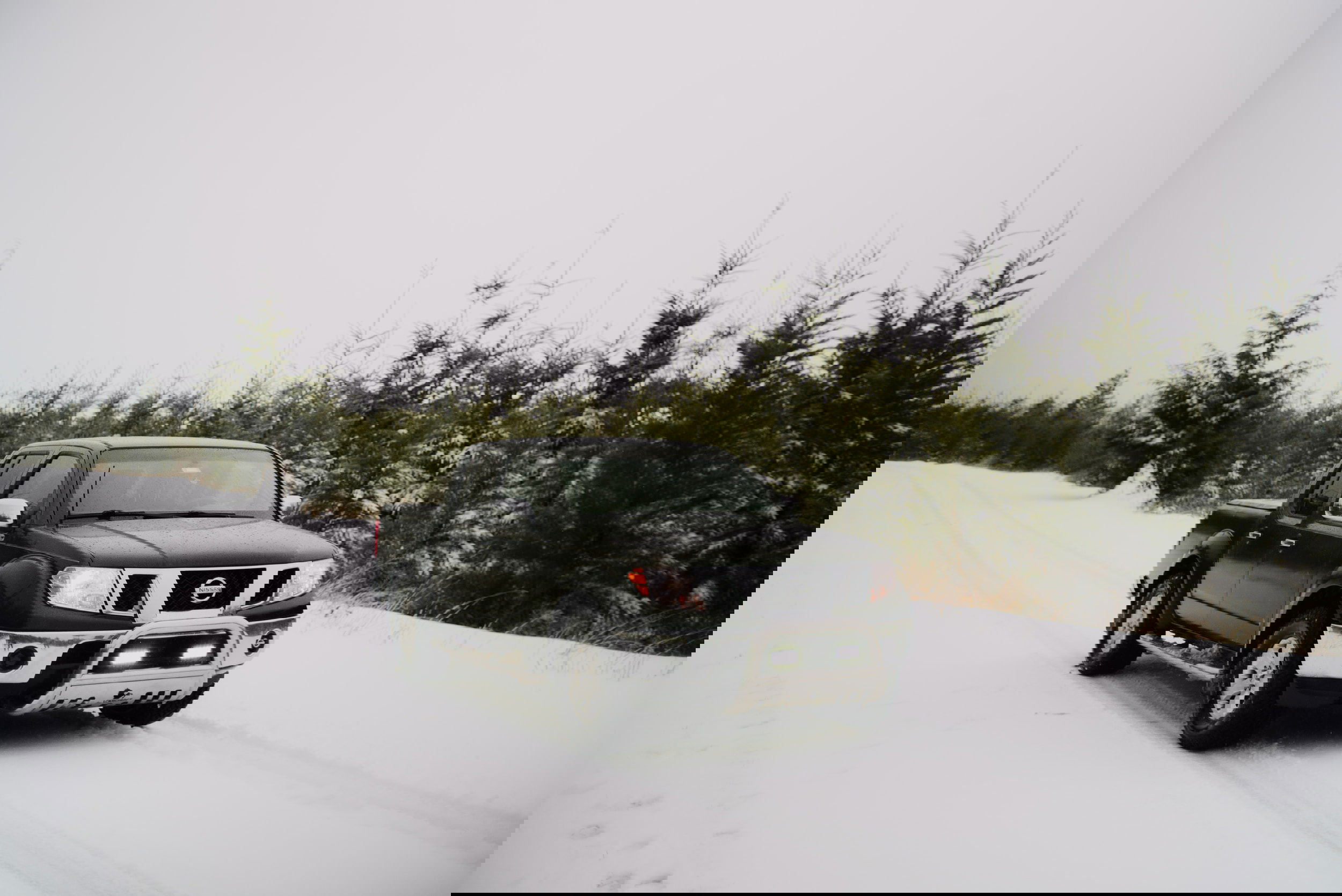 29 Features of Nissan Safety Shield 360 Every Driver Should Know