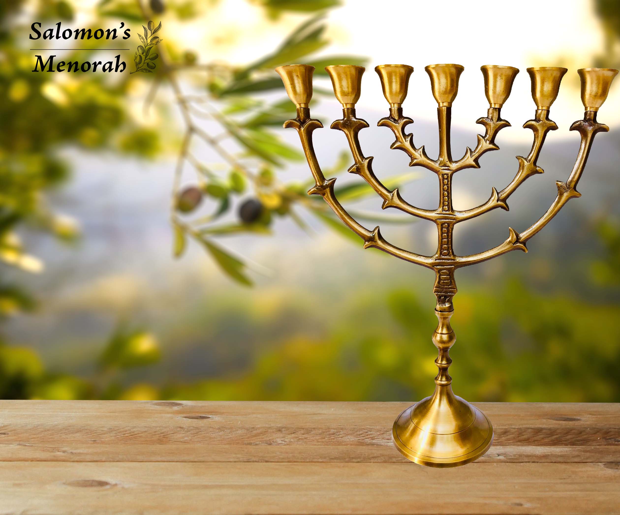 salomons menorah