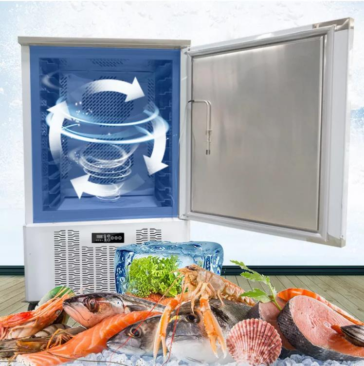 Food Meat Fish Cold Storage Refrigerator Blast Chiller Freezer Small ...