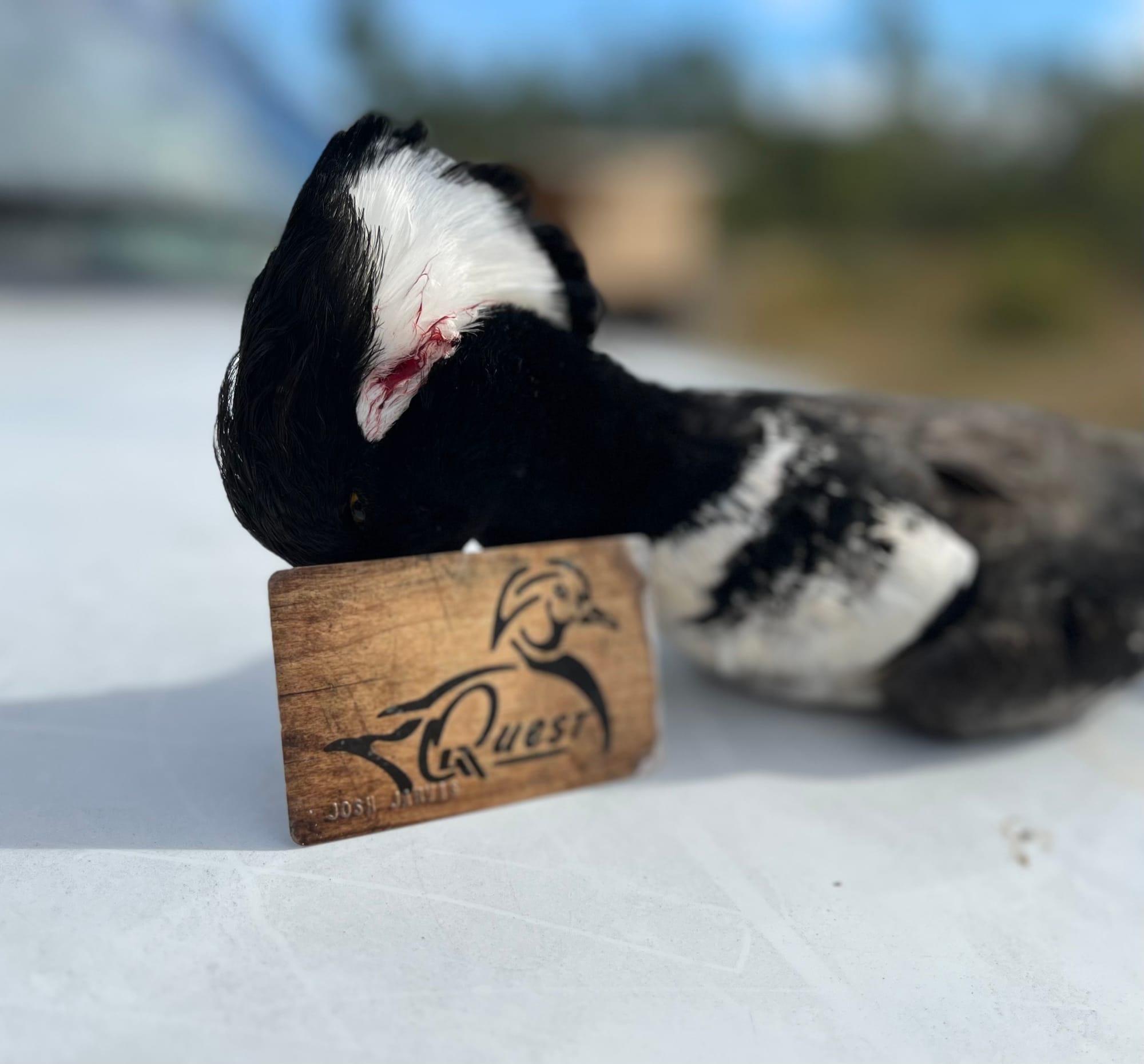 JOSH JARVIS - DEEP CREEK WATERFOWLERS