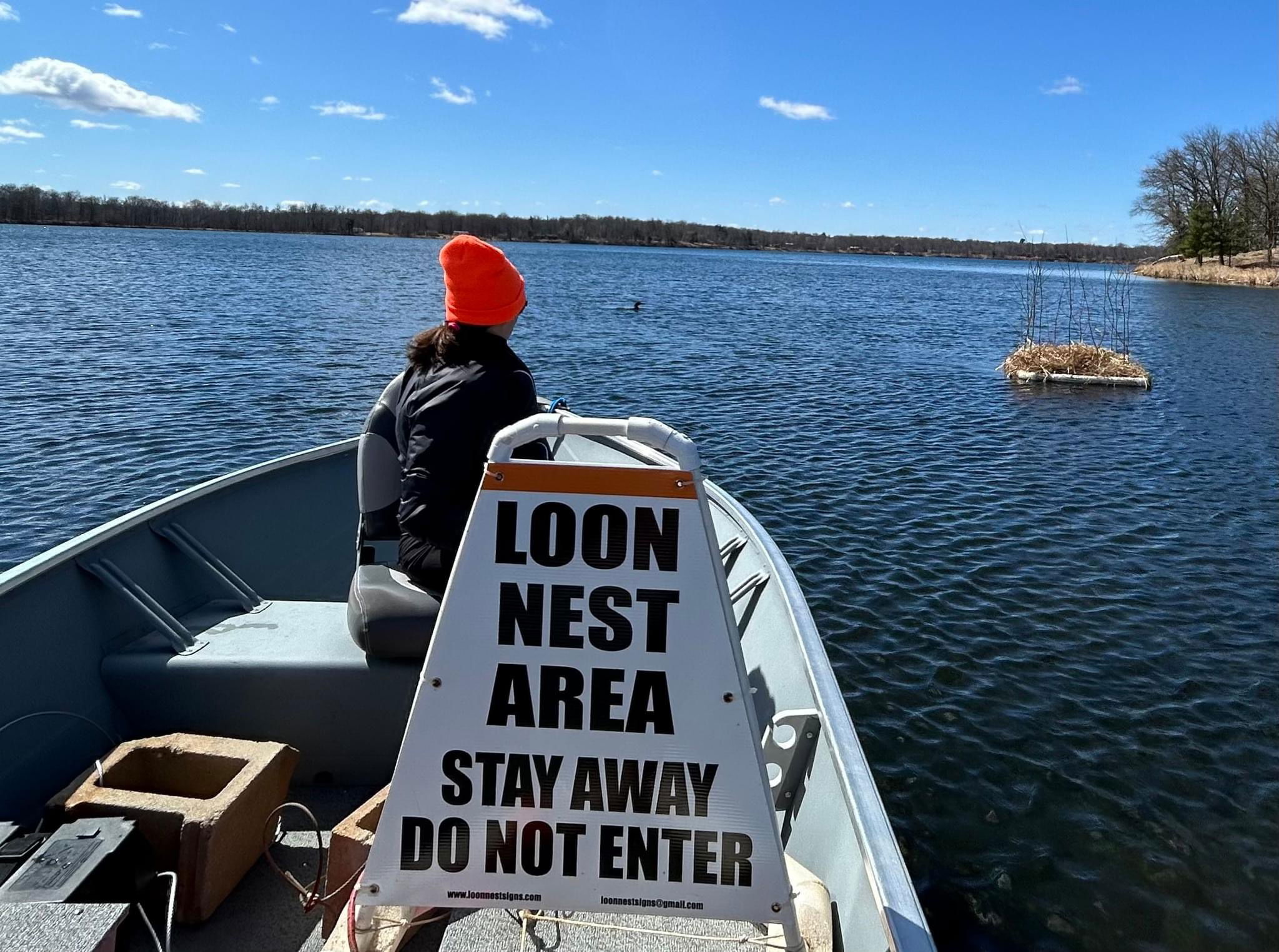 2024 Loon Report - Adney Lake Association, Crow Wing County