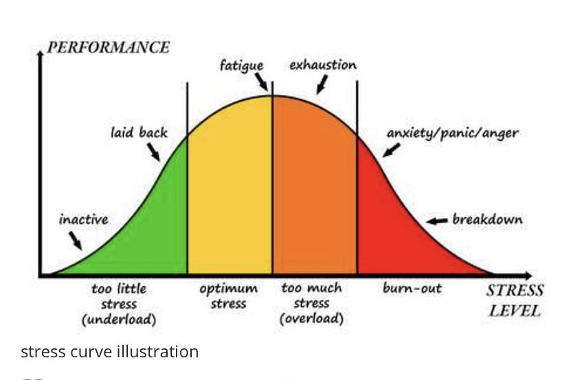 O estresse é sempre ruim? - Dra. Priscila Cestari
