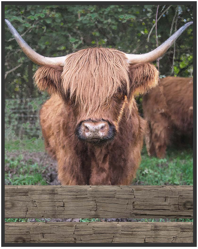 Art Specifications - Studio B Originals