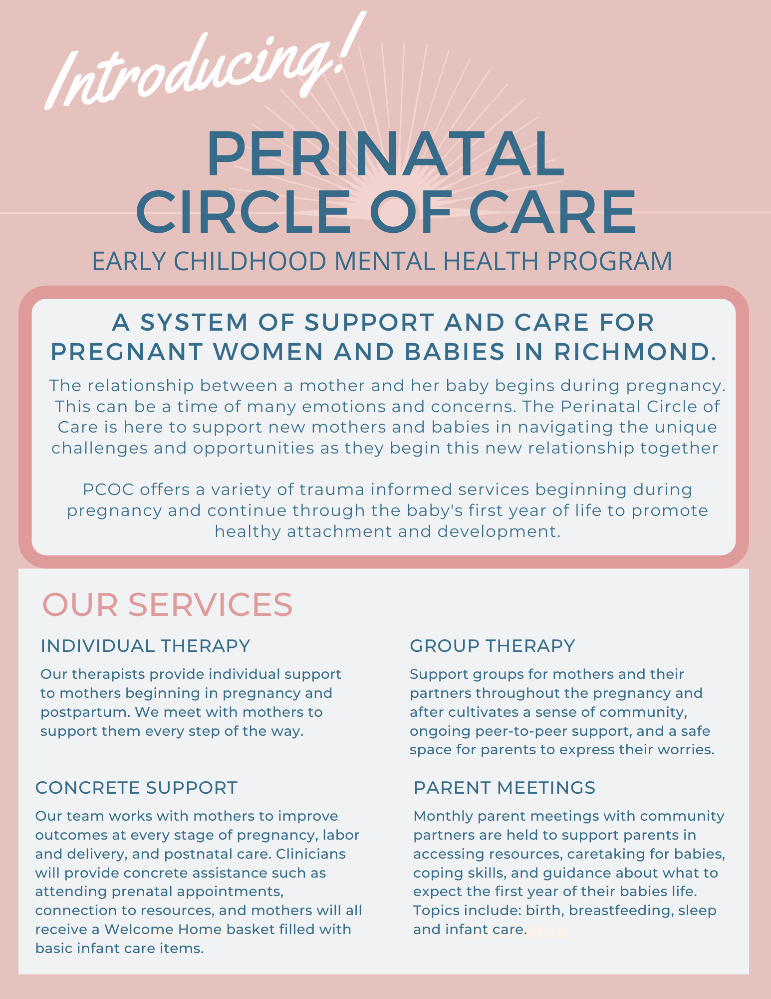 Perinatal Circle of Care - Early Childhood Mental Health Program