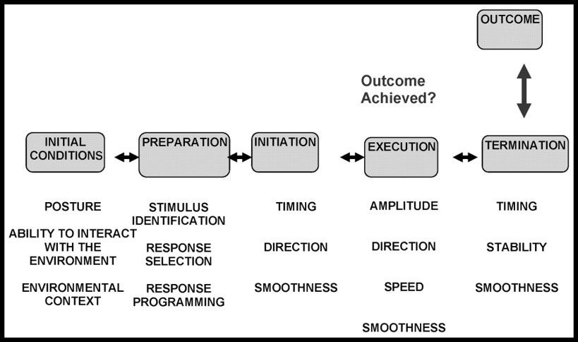 Supine to Sit - Movement Solutions for PT