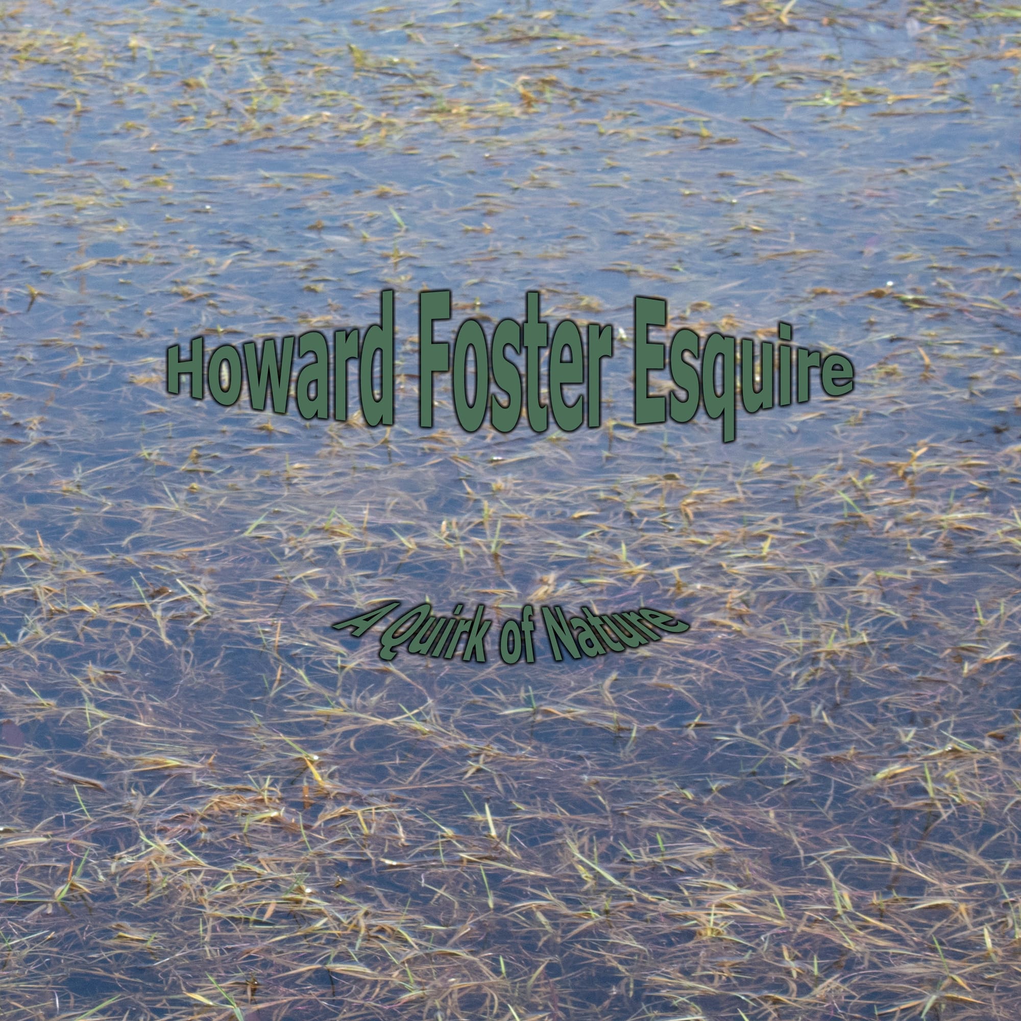 Howard Foster Esquire - Whisk Records