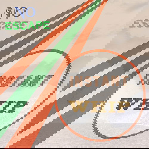 Instant Whip - Whisk Records