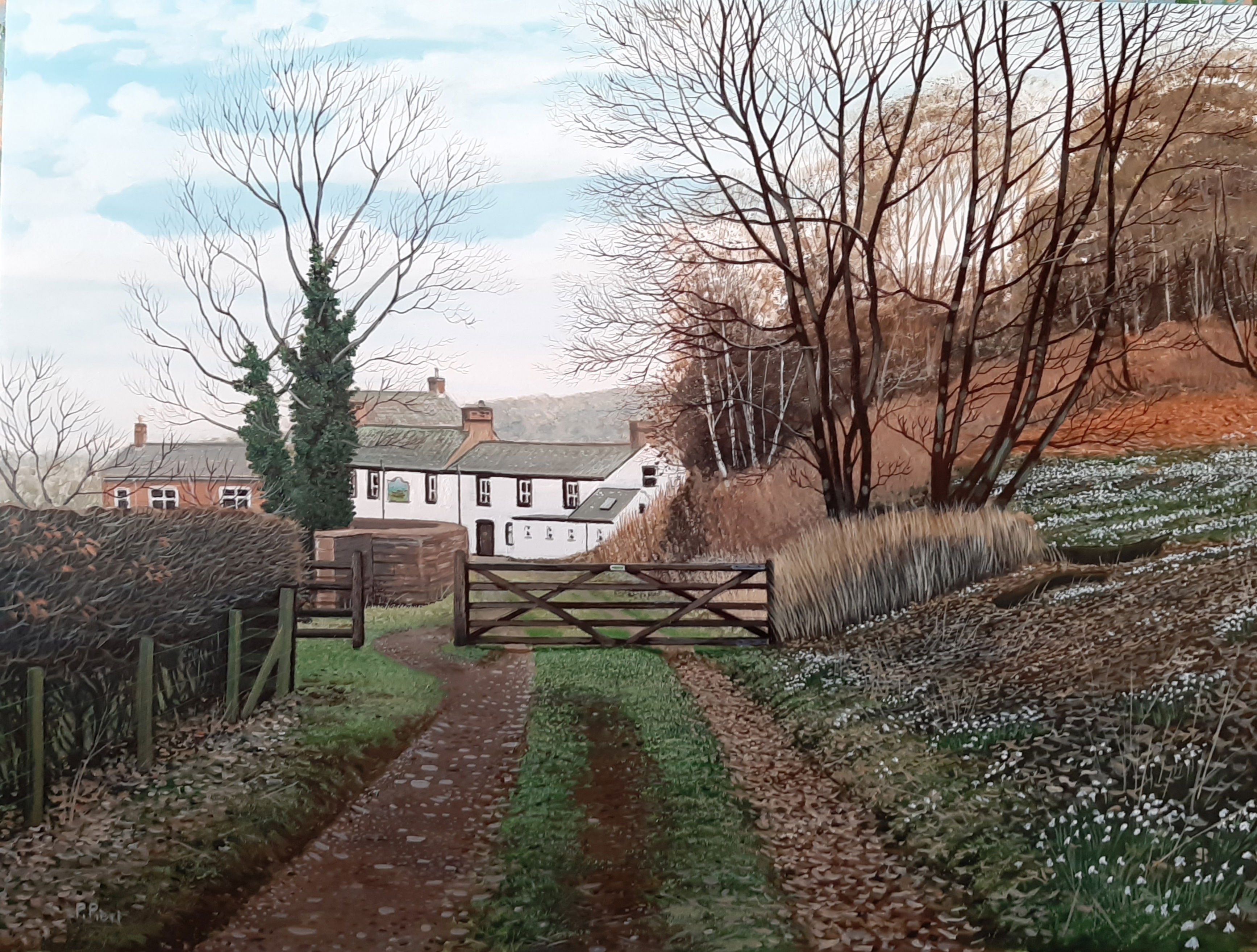 Pete Pieri - Carlisle and Border Arts Society