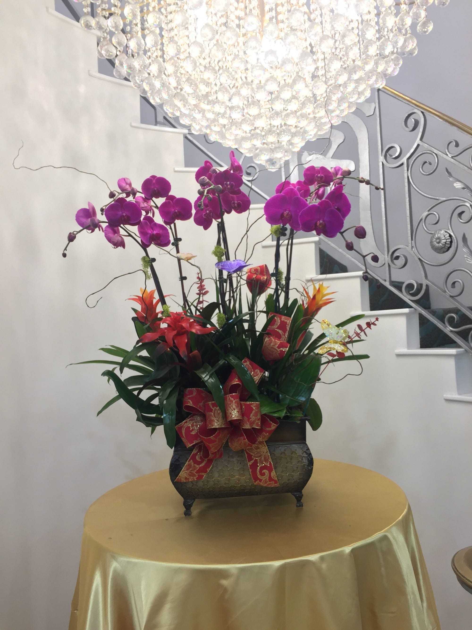 Orchids - Sally's Flower