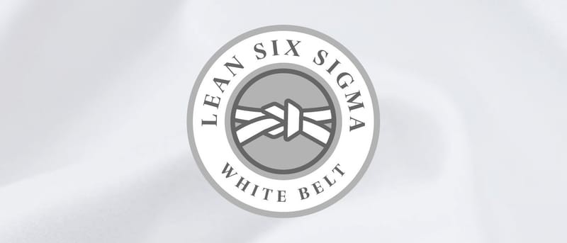 Lean Six Sigma White Belt (FREE) - Olanab Consults