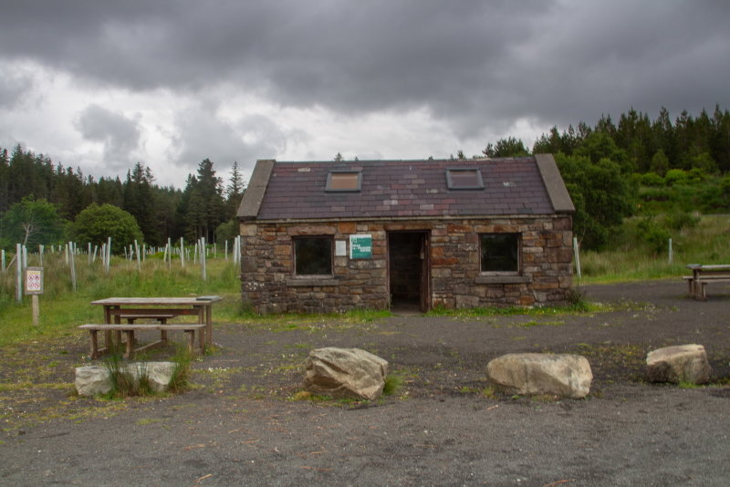 Letterkeen Loop Walk and the “Wild Nephin” experiment. 🌿 - Rambling Image