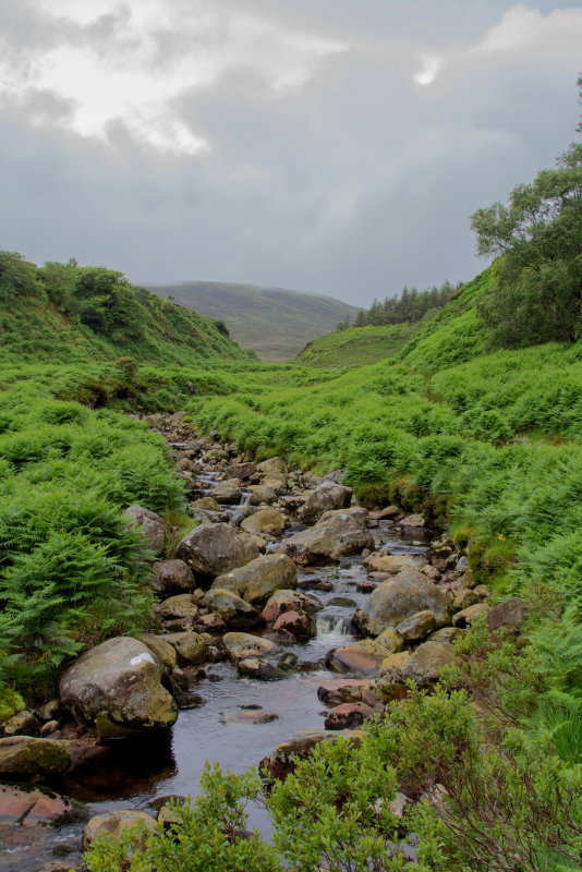 Letterkeen Loop Walk and the “Wild Nephin” experiment. 🌿 - Rambling Image