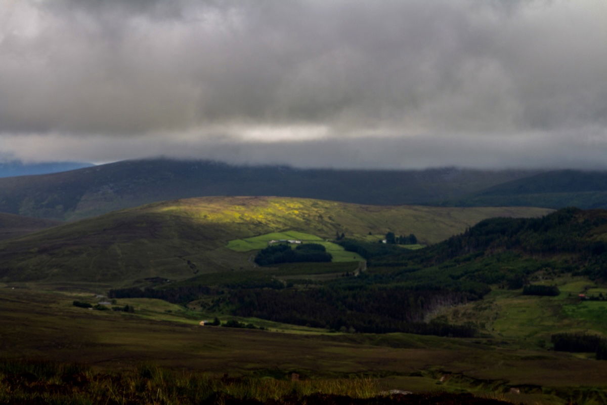 Letterkeen Loop Walk and the “Wild Nephin” experiment. 🌿 - Rambling Image