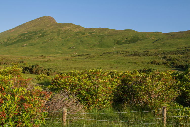 Ben Gorm, the “Matterhorn” of Leenaun. ! 🏔 - Rambling Image