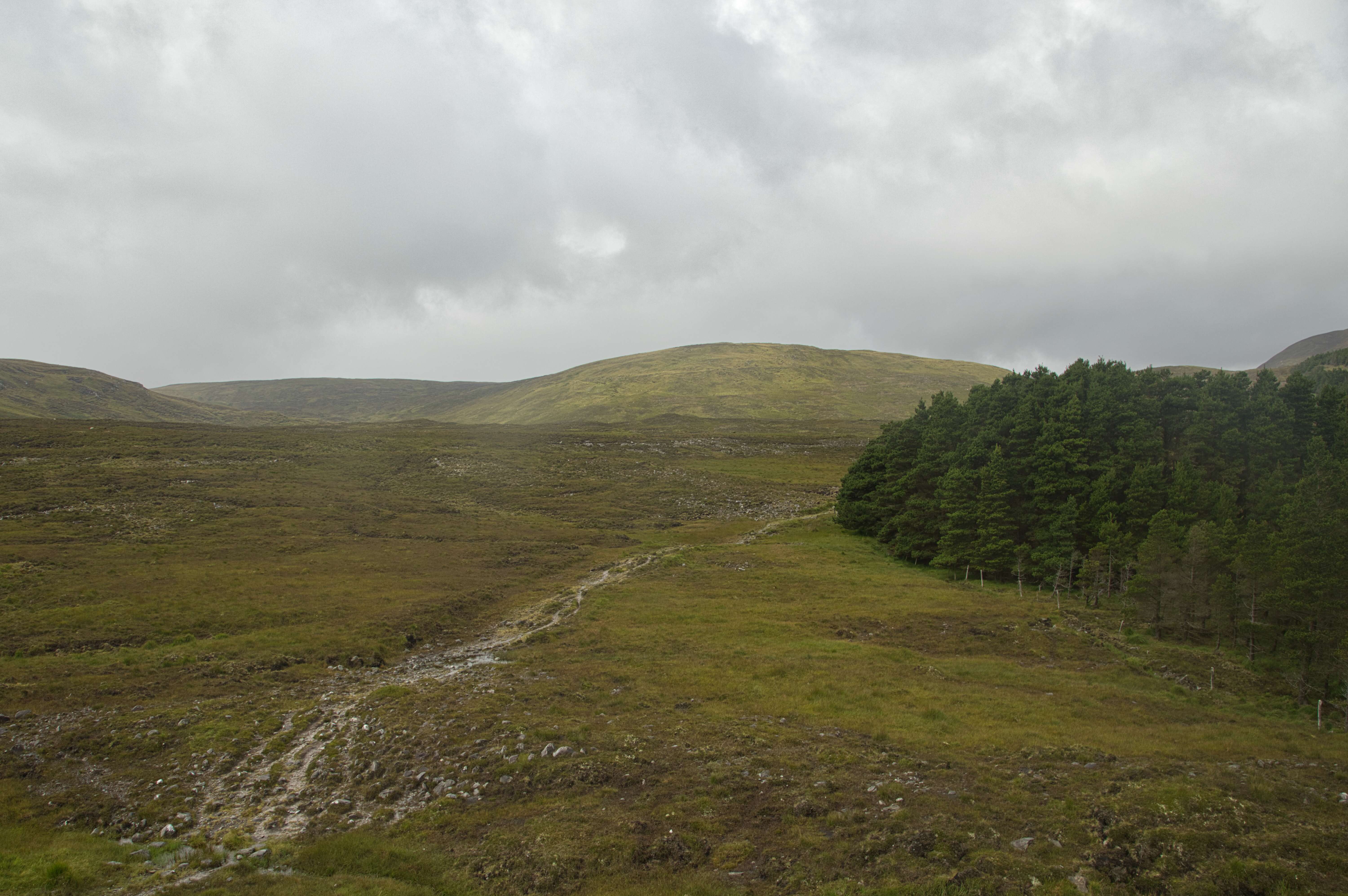 Letterkeen Loop walk and a first hike in Ireland for a like minded ...