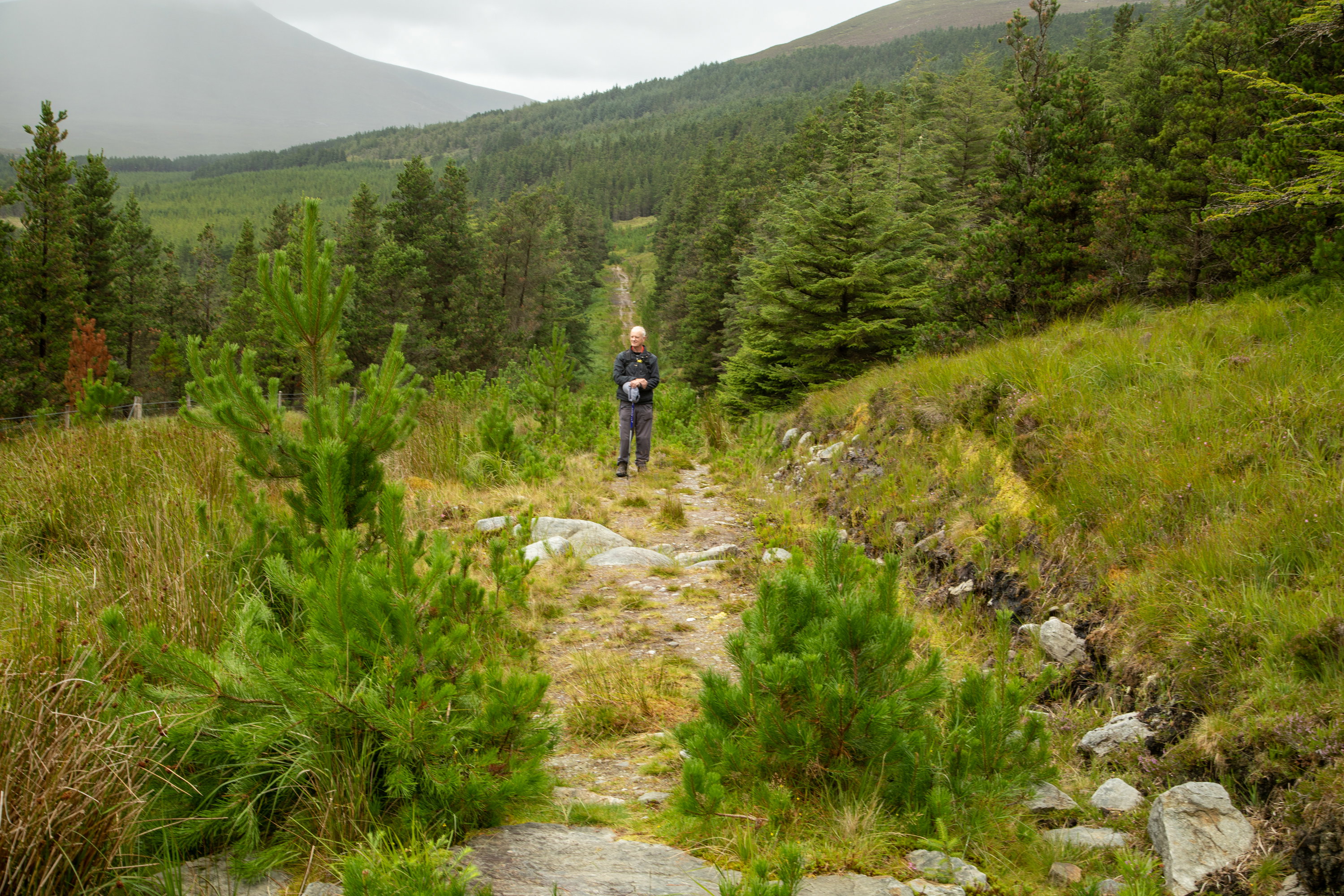 Letterkeen Loop walk and a first hike in Ireland for a like minded ...