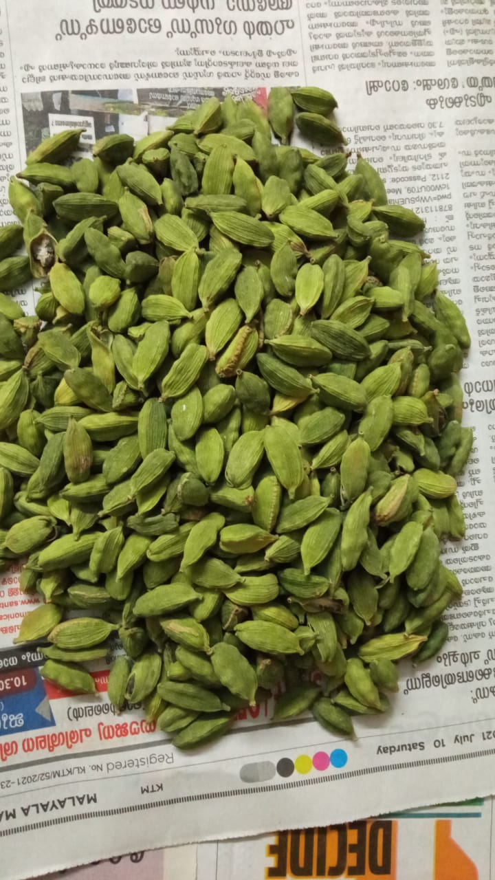 هيل هندي - جوردانا للتجارة الدولية