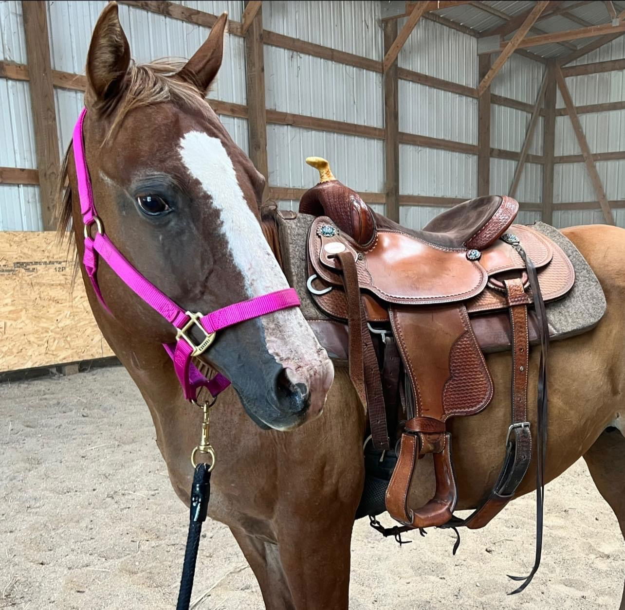 Lenas Two Step - SOLD - 4 Line Ranch