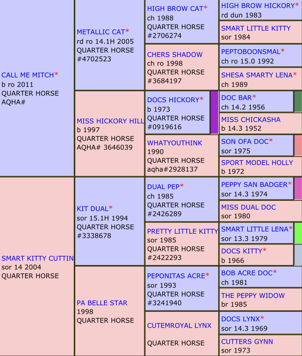 Call Me Mitch x Smart Kitty Cuttin - 4 Line Ranch