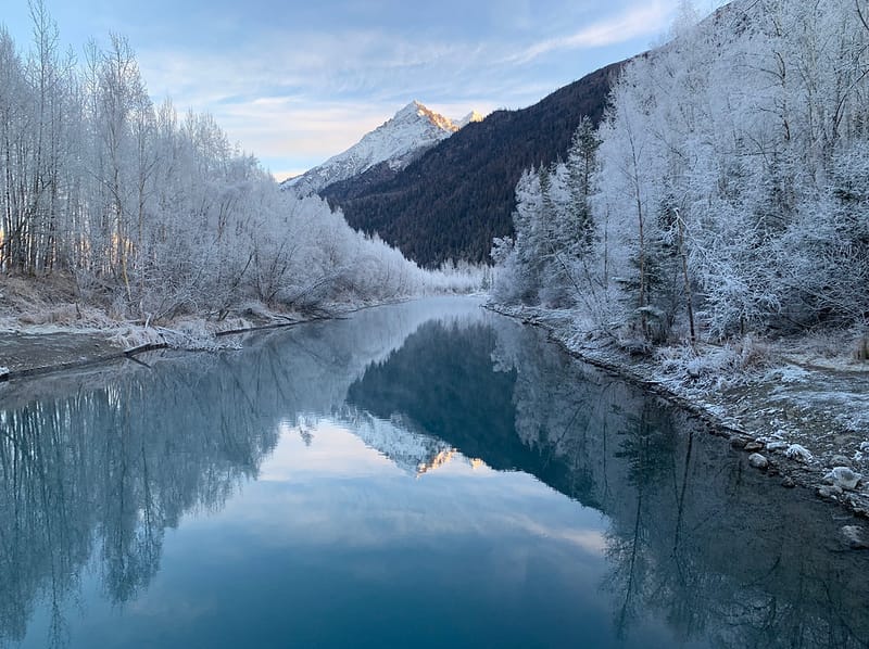 WHITE BELT - Lean Alaska