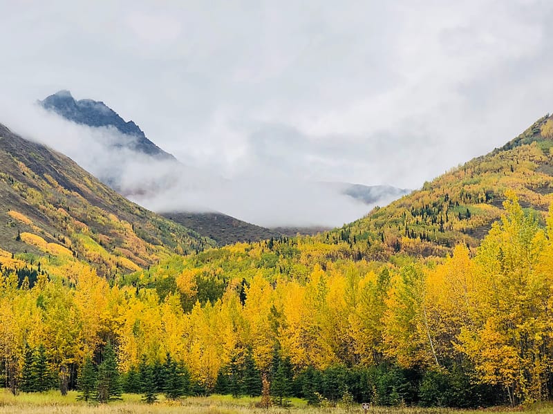 YELLOW BELT - Lean Alaska