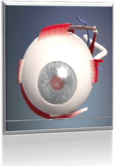 Introducing NLS 3D Scanning - Biostar Technology International - Germany