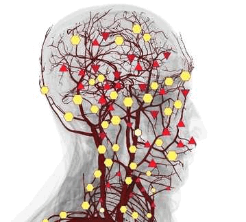 How a NLS Scan works - Biostar Technology International - Germany