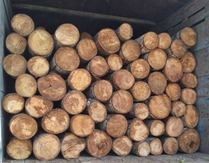 Balsa Blocks - gibagogroup