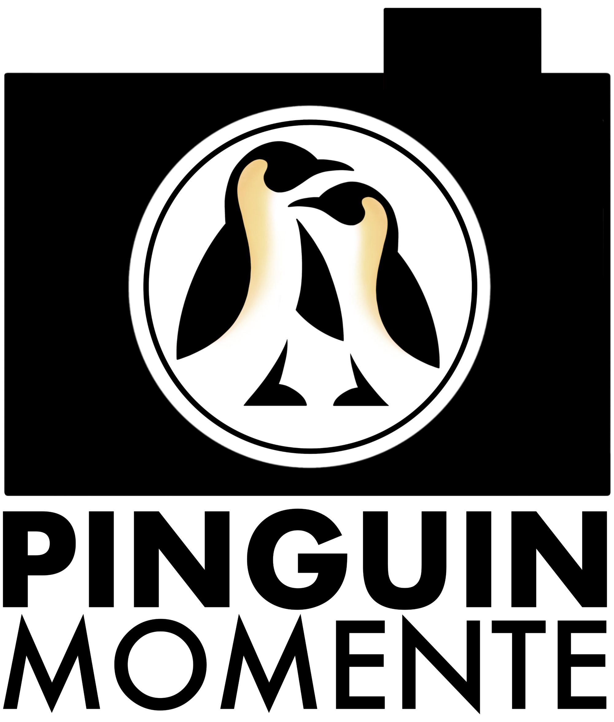 Marco Bachmann - Fotograf | pinguinmomente - Wernau