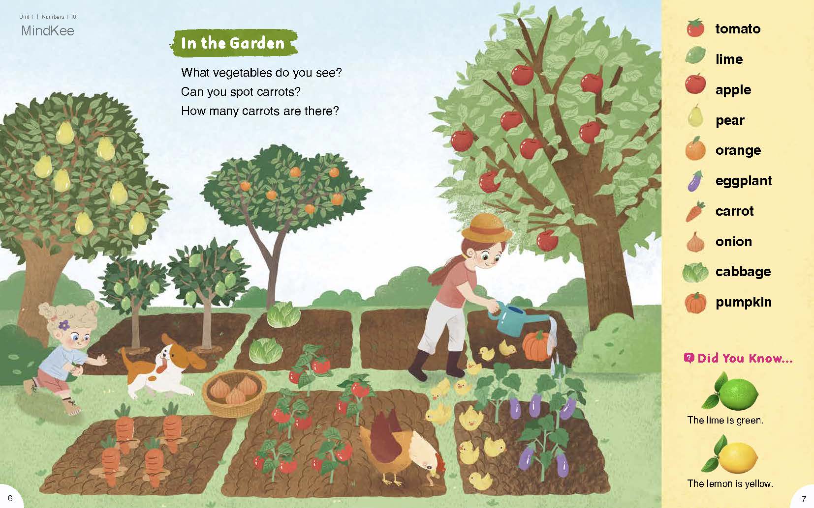 CLIL MATHEMATICS - MindKee