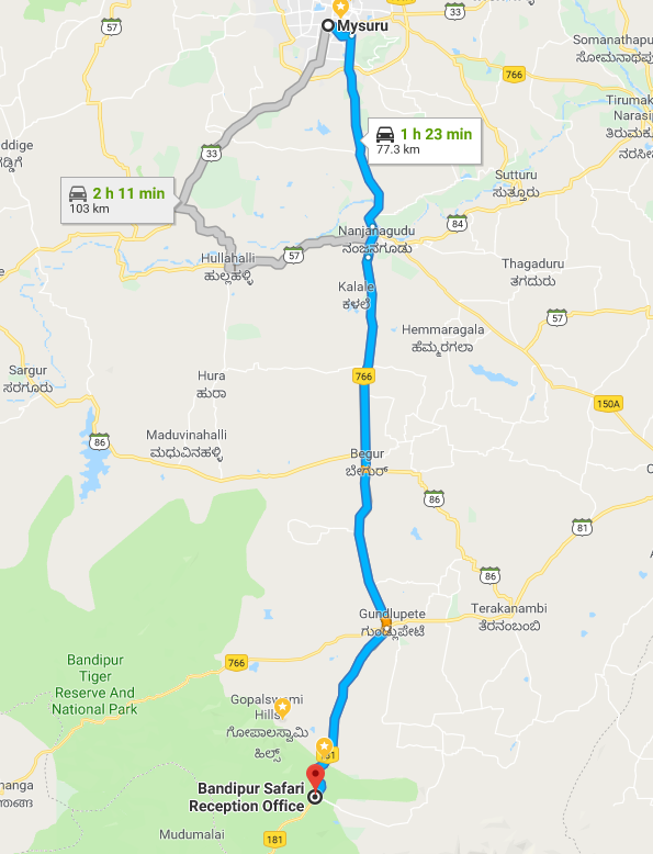 Bandipur National Park - PERSISTENT EXPLORERS