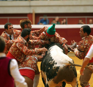 LOS FORCADOS LOS ÚLTIMOS GLADIADORES PORTUGUESES