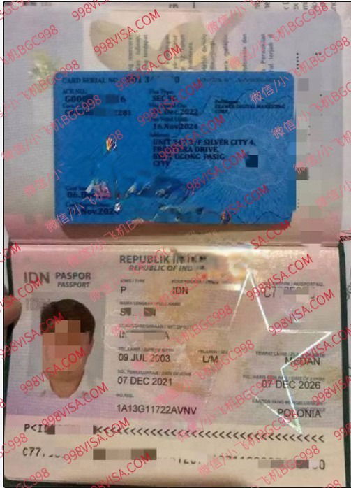The 9G visa in the Philippines