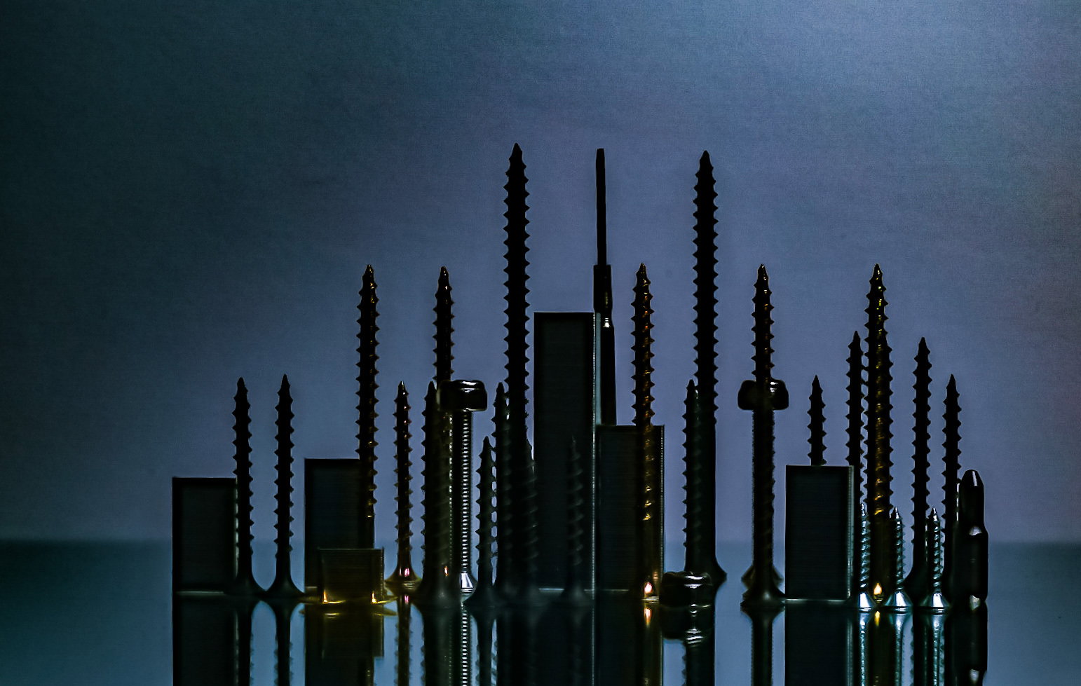 Week 7 - eharrison photography