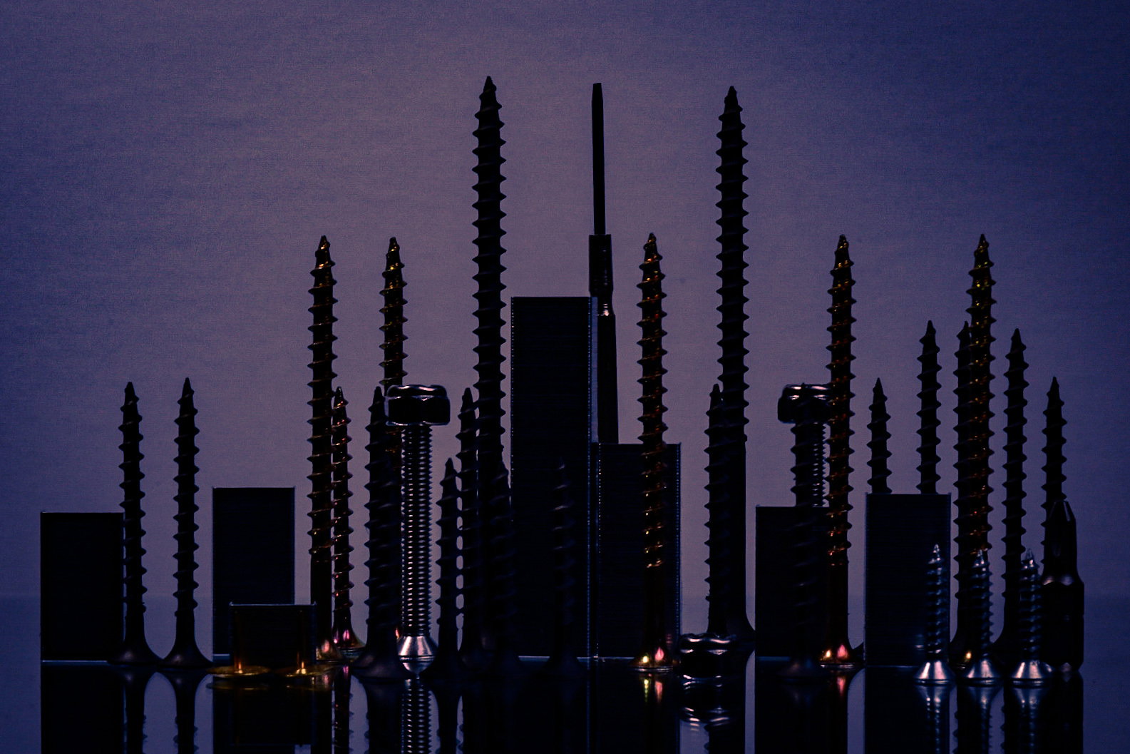 Week 7 - eharrison photography