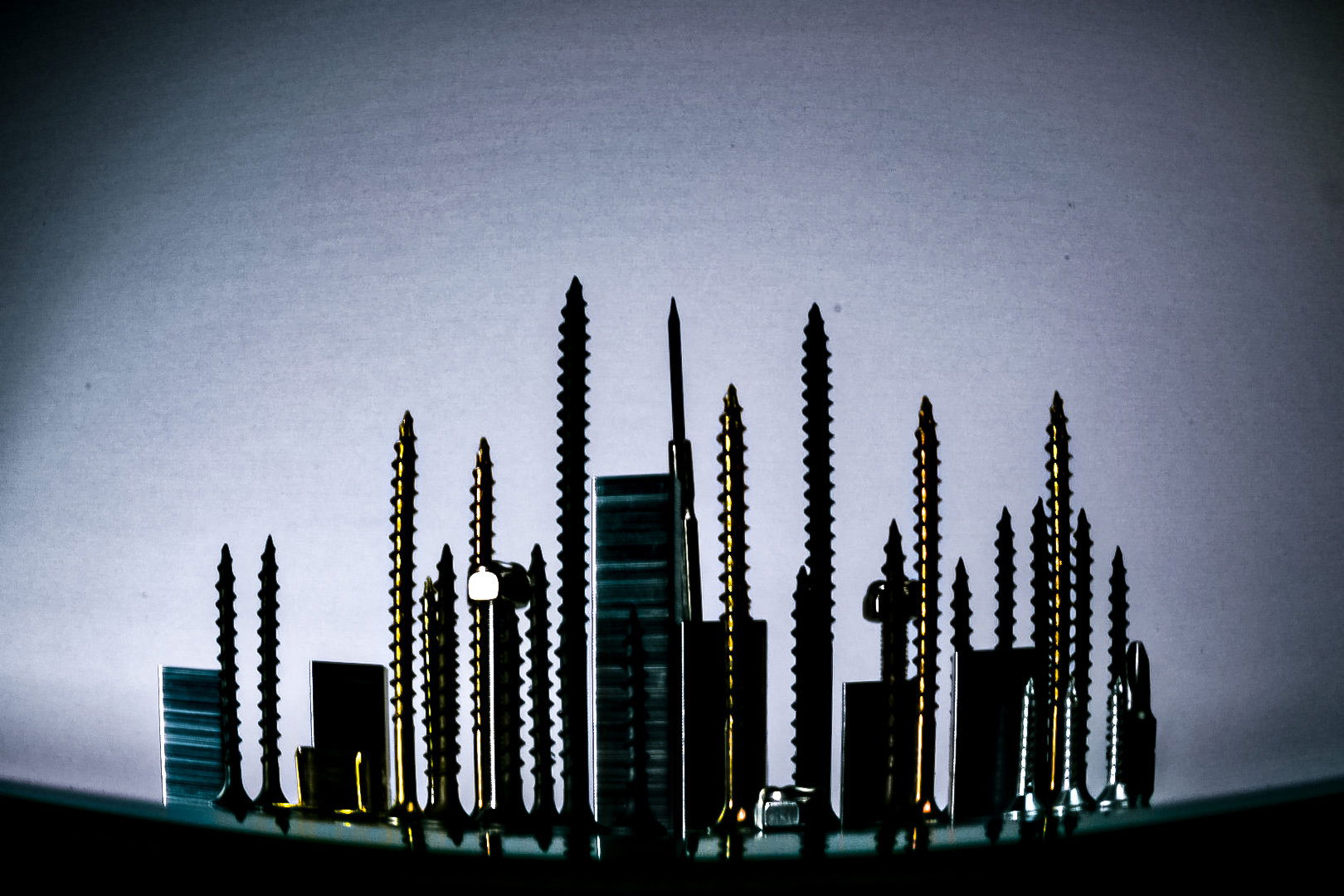 Week 7 - eharrison photography