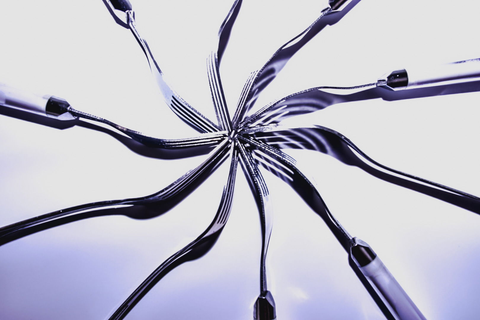 Week 7 - eharrison photography