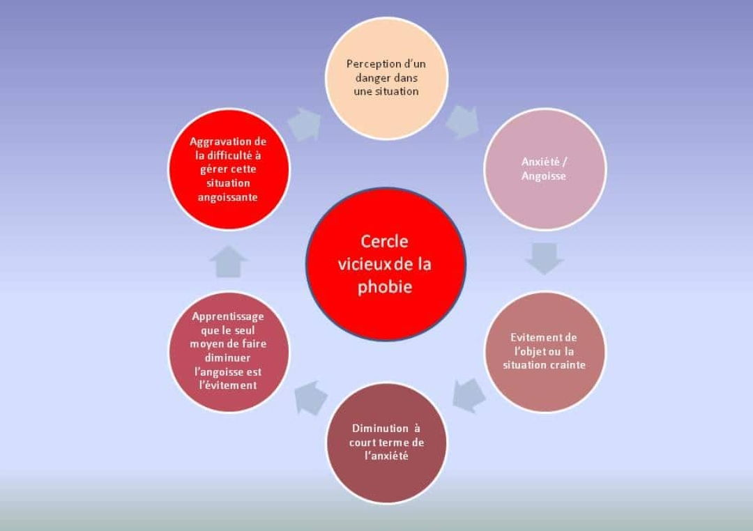 Pour en savoir plus sur Les phobies... - berniermarie.fr