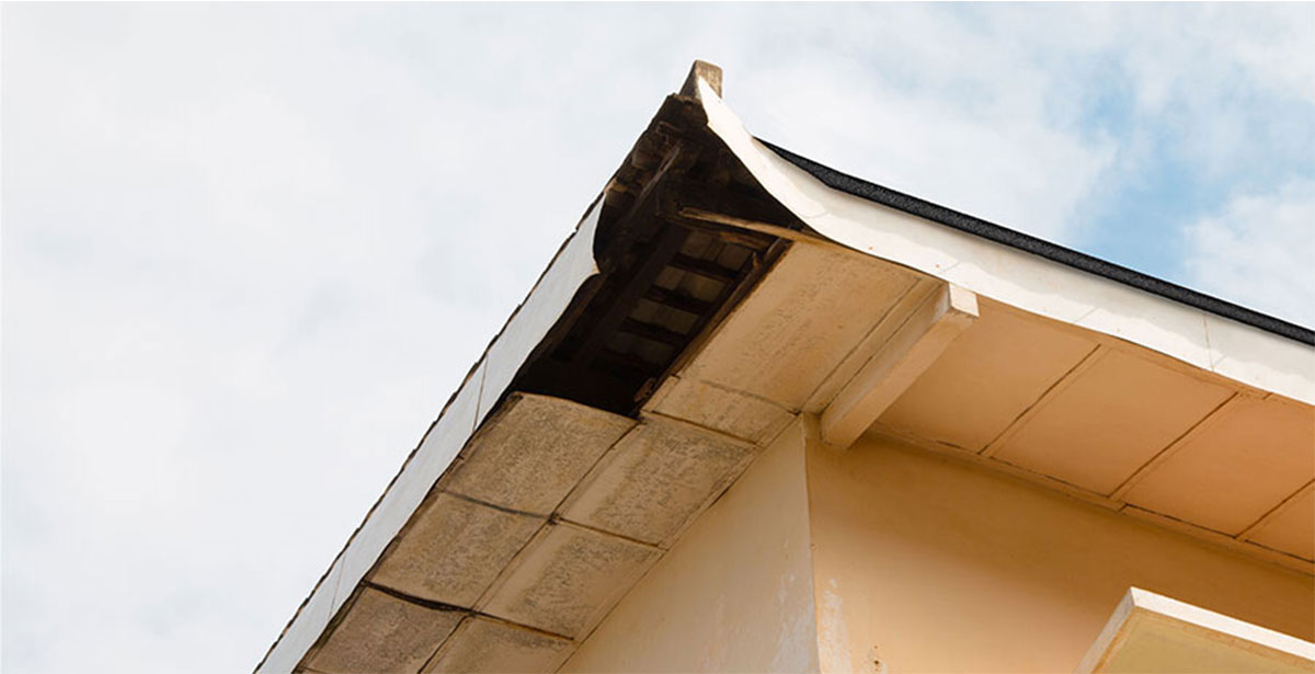 Fascia Board Replacement And Repair Contractor