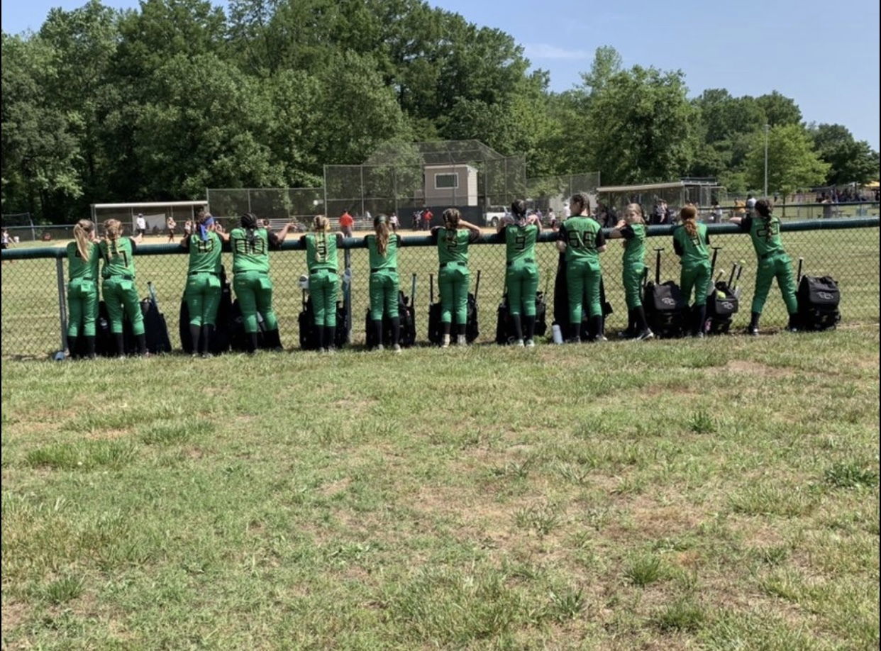 Diamond State Ducks - Diamond State Ducks Fastpitch